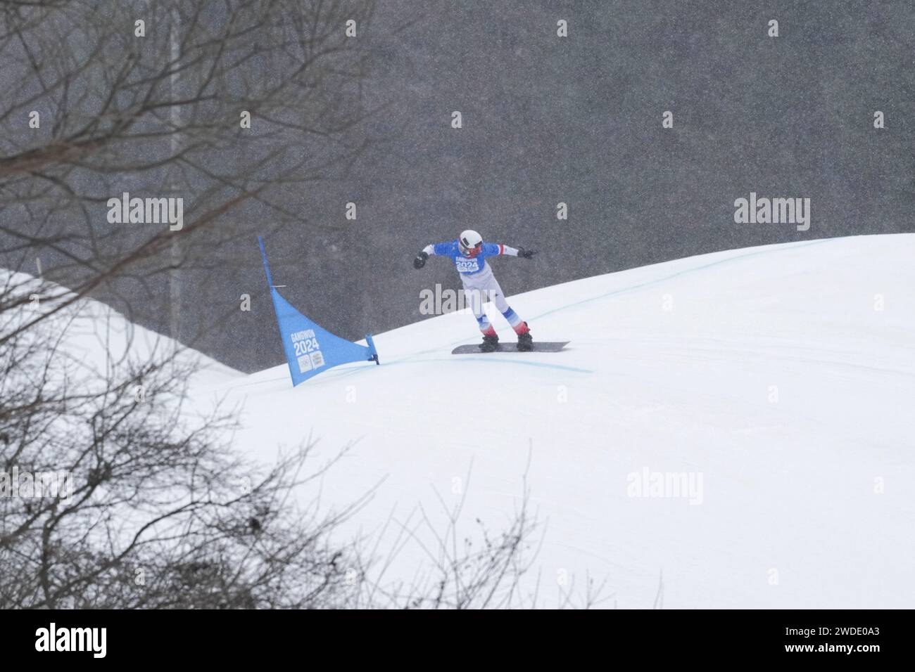 Hoengseong, South Korea. 20th Jan, 2024. Maja-Li Iafrate Danielsson of ...