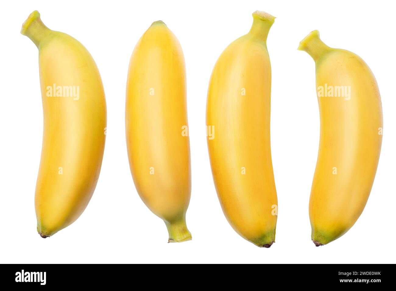 Collection of baby bananas on white background. File contains clipping ...