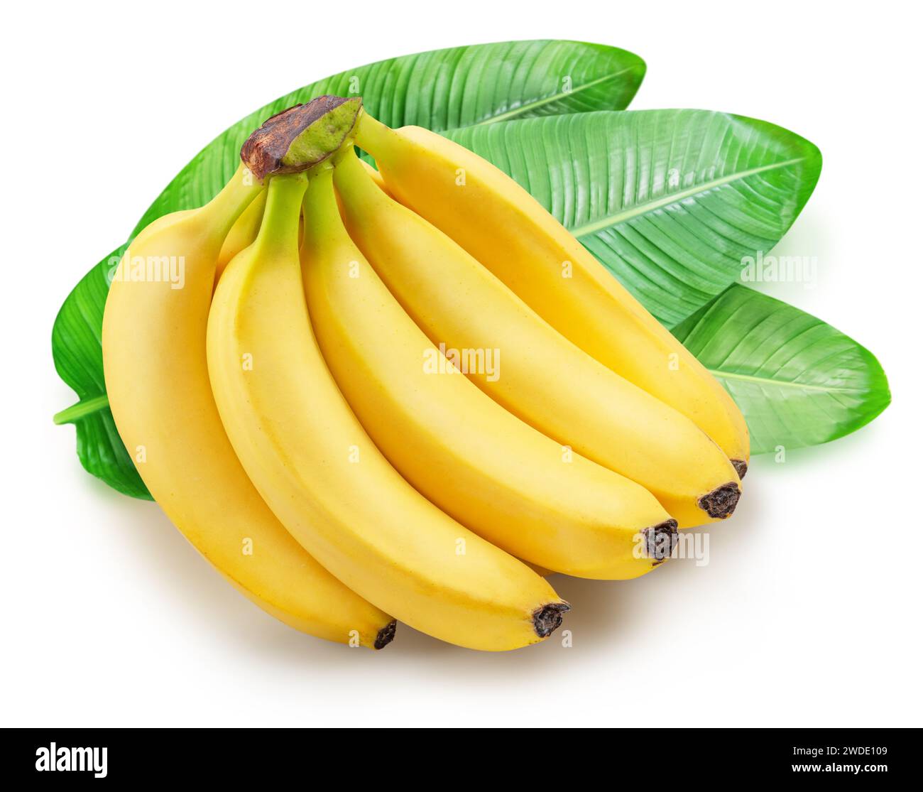 Ripe yellow bananas on green banana leaves close-up. File contains ...