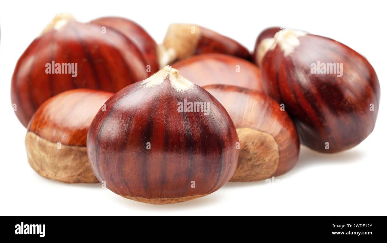 Edible sweet chestnuts isolated on white background. Great food ...