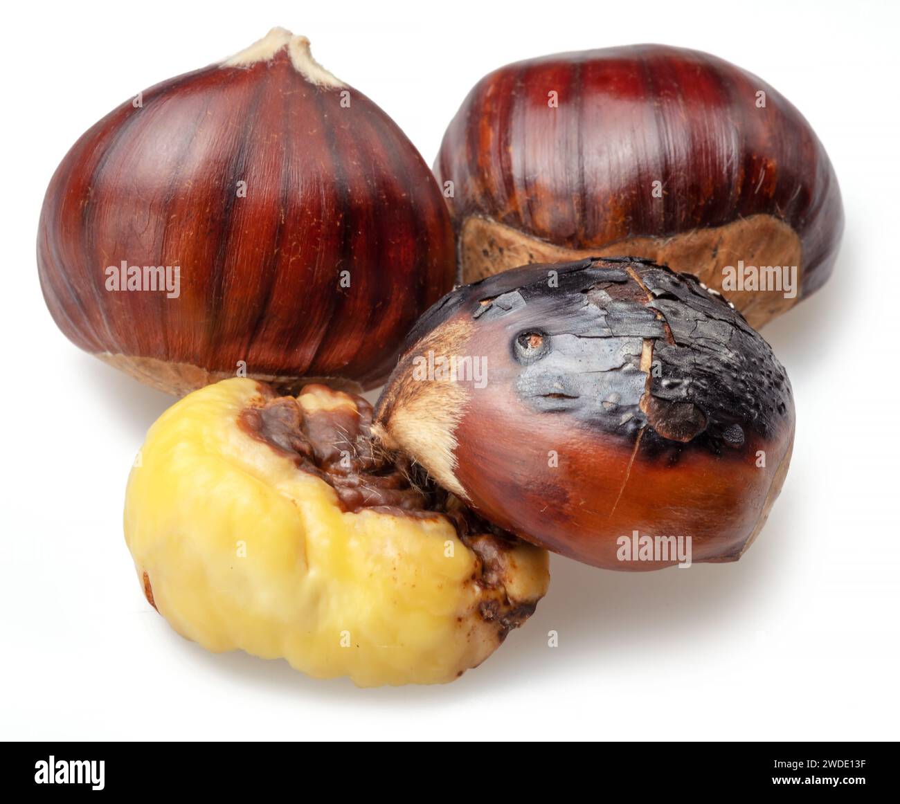 Edible sweet chestnuts with roasted chestnuts isolated on white ...