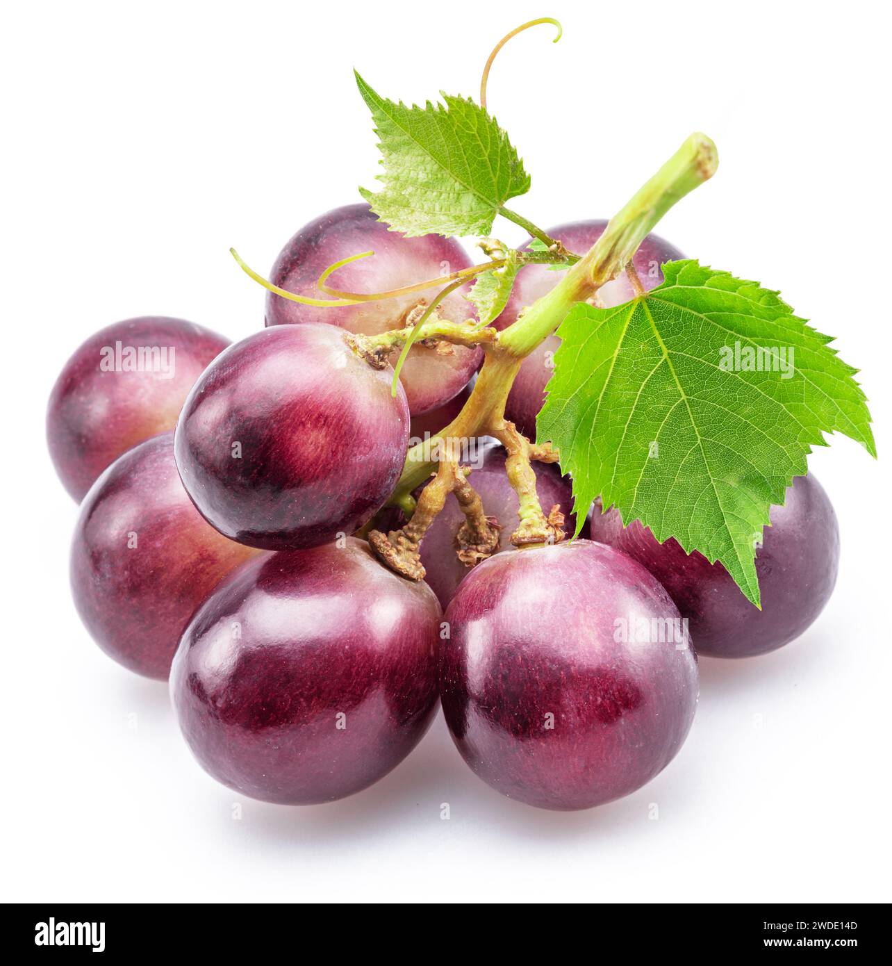 Small bunch of red table grape with grape leaves isolated on white ...