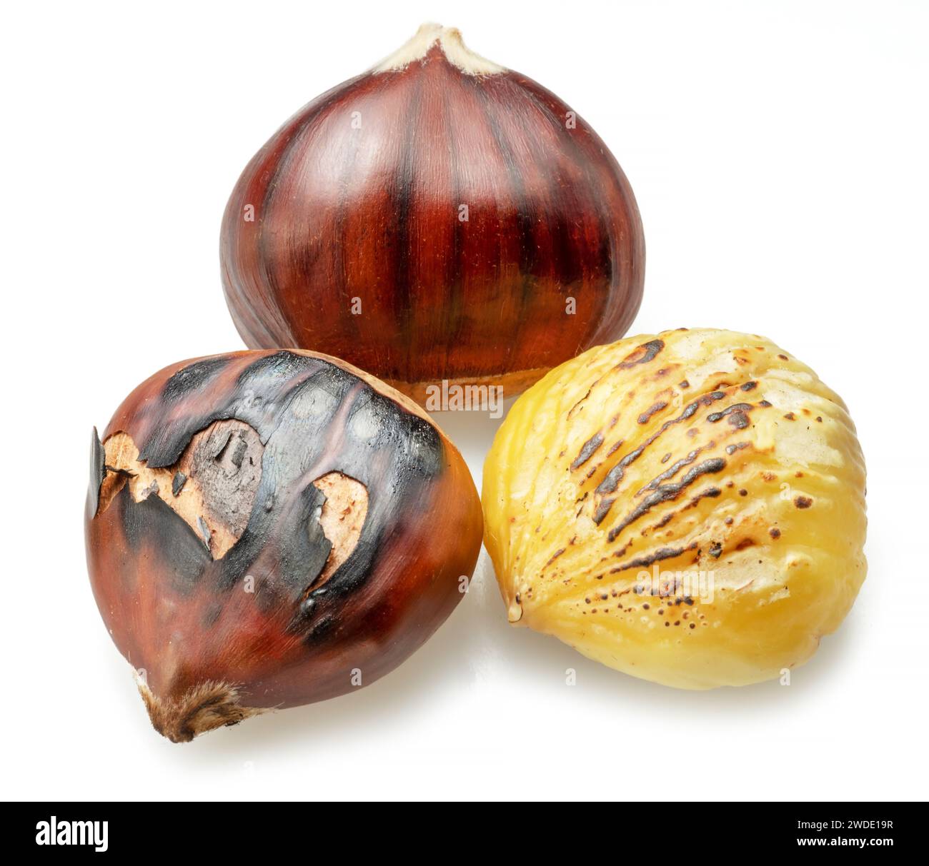 Edible sweet chestnuts with roasted chestnuts isolated on white ...