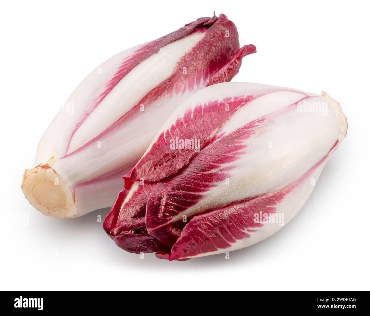 Red endive on white background. File contains clipping path Stock Photo ...