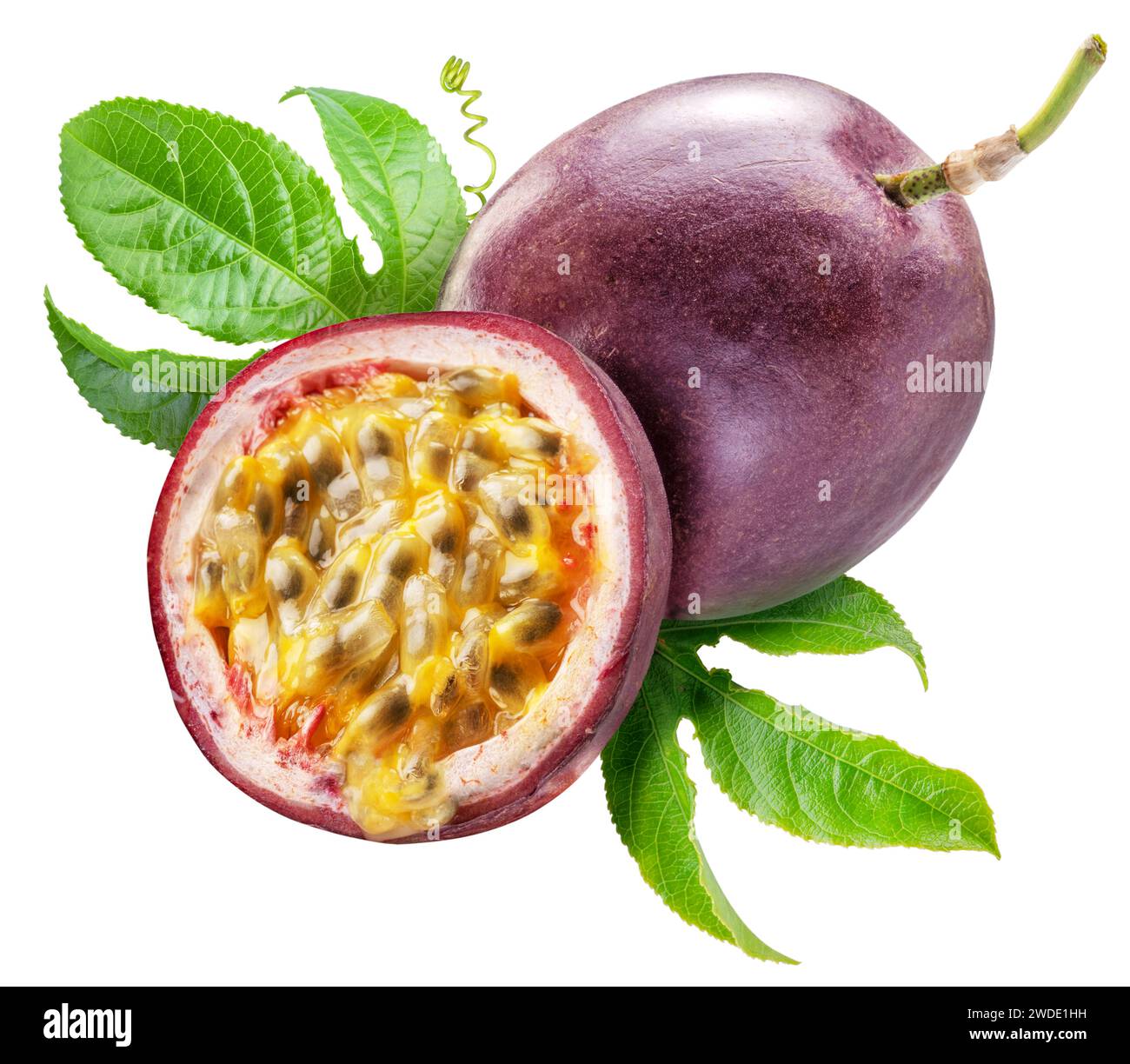 Dark purple passion fruit hi-res stock photography and images - Alamy