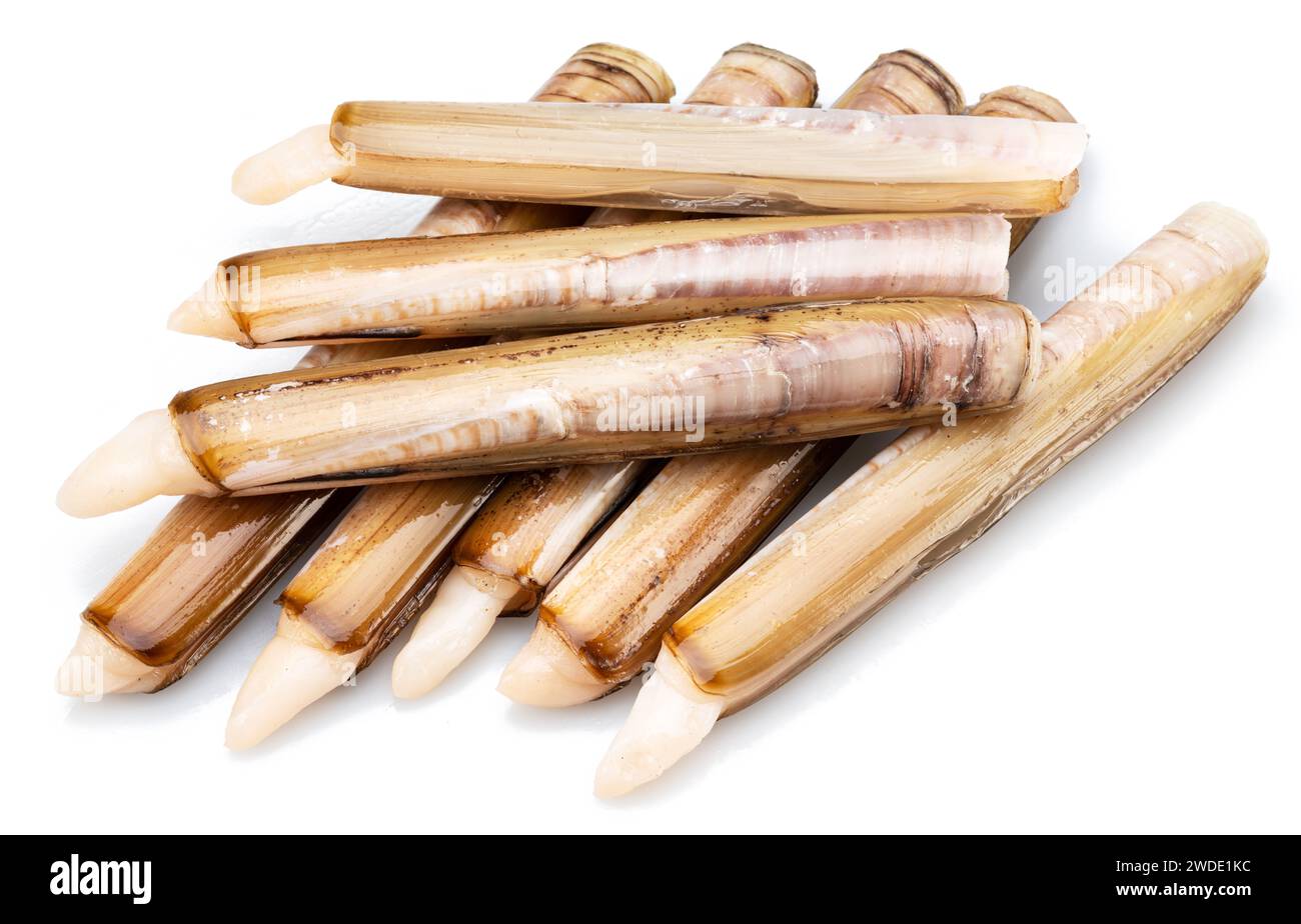 Edible raw razor clams isolated on white background. Delicacy food ...