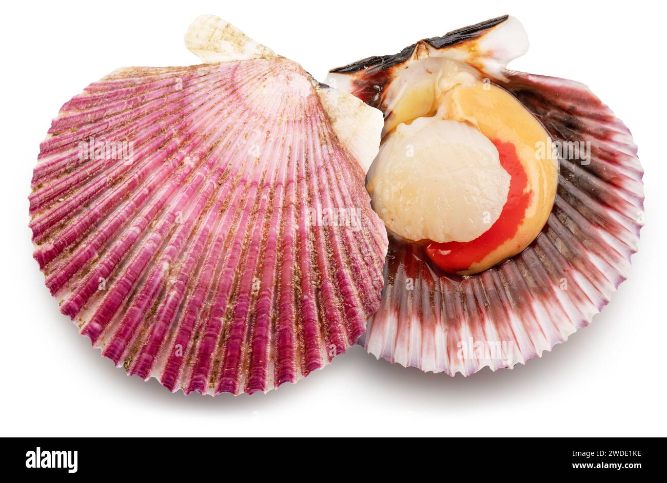 Live easily Cut Out Stock Images & Pictures - Alamy