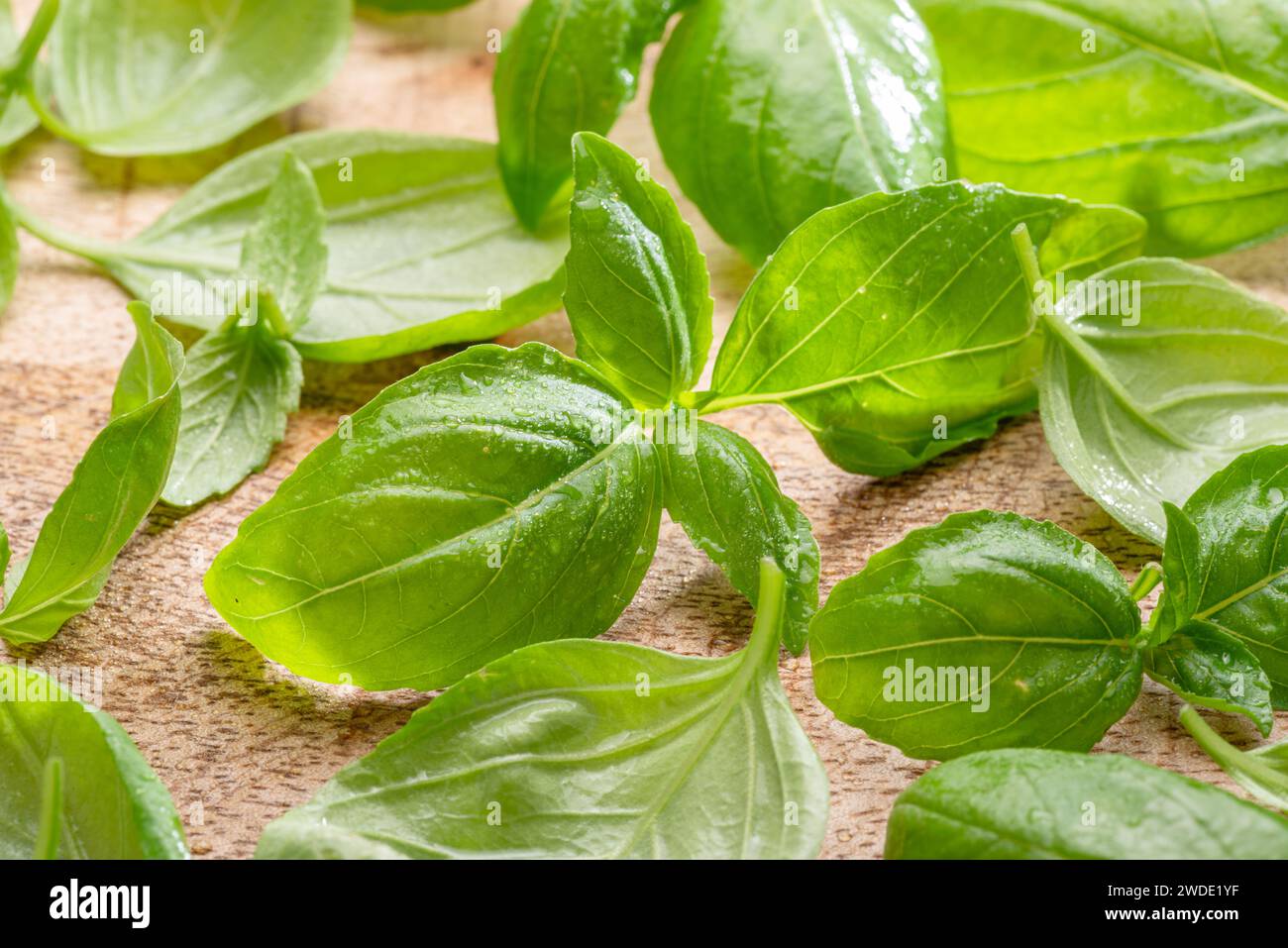 Fresh basil leaves on a wooden table. Nice herb spice background for ...