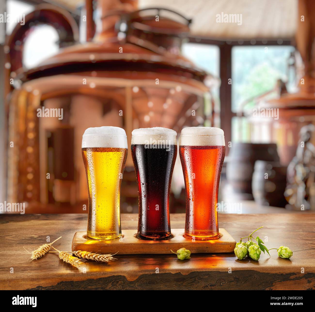 Copper brewing system hi-res stock photography and images - Alamy