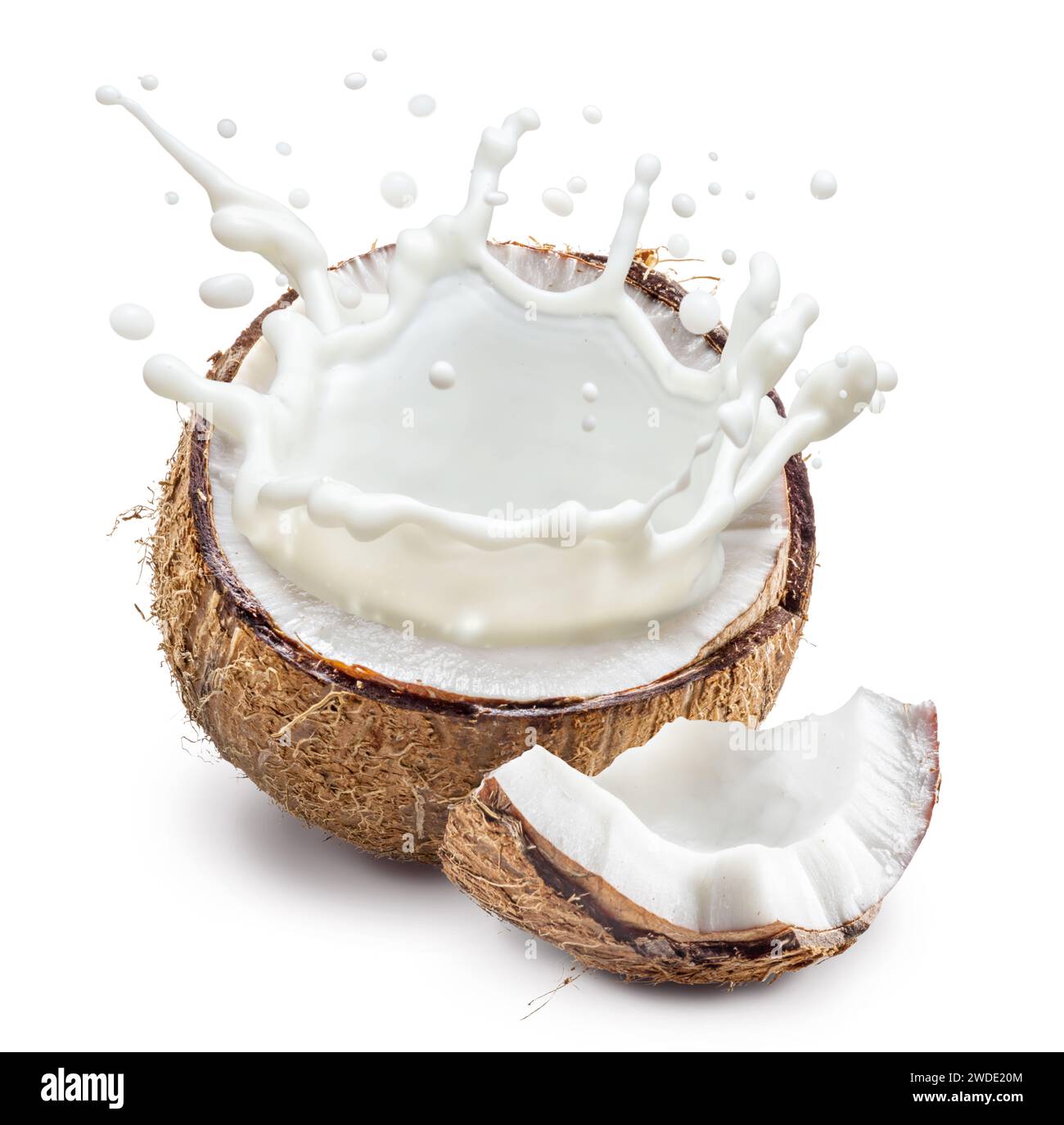Coconut milk flying out from cracked coconut fruit and piece of fruit ...