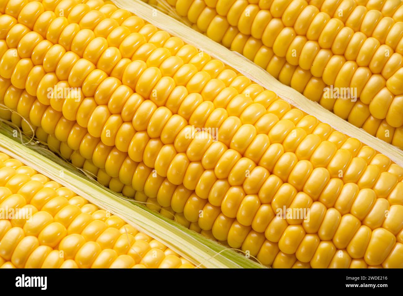 Ripe corn heads with corn whiskers and leaves. Nice vegetable cooking ...