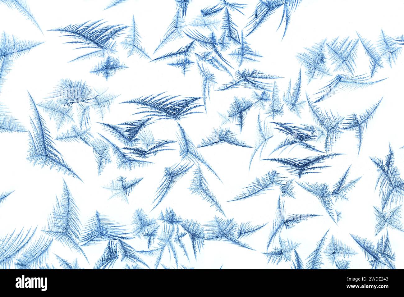 Beautiful frost patterns in the ice feather shape on frozen window as a ...