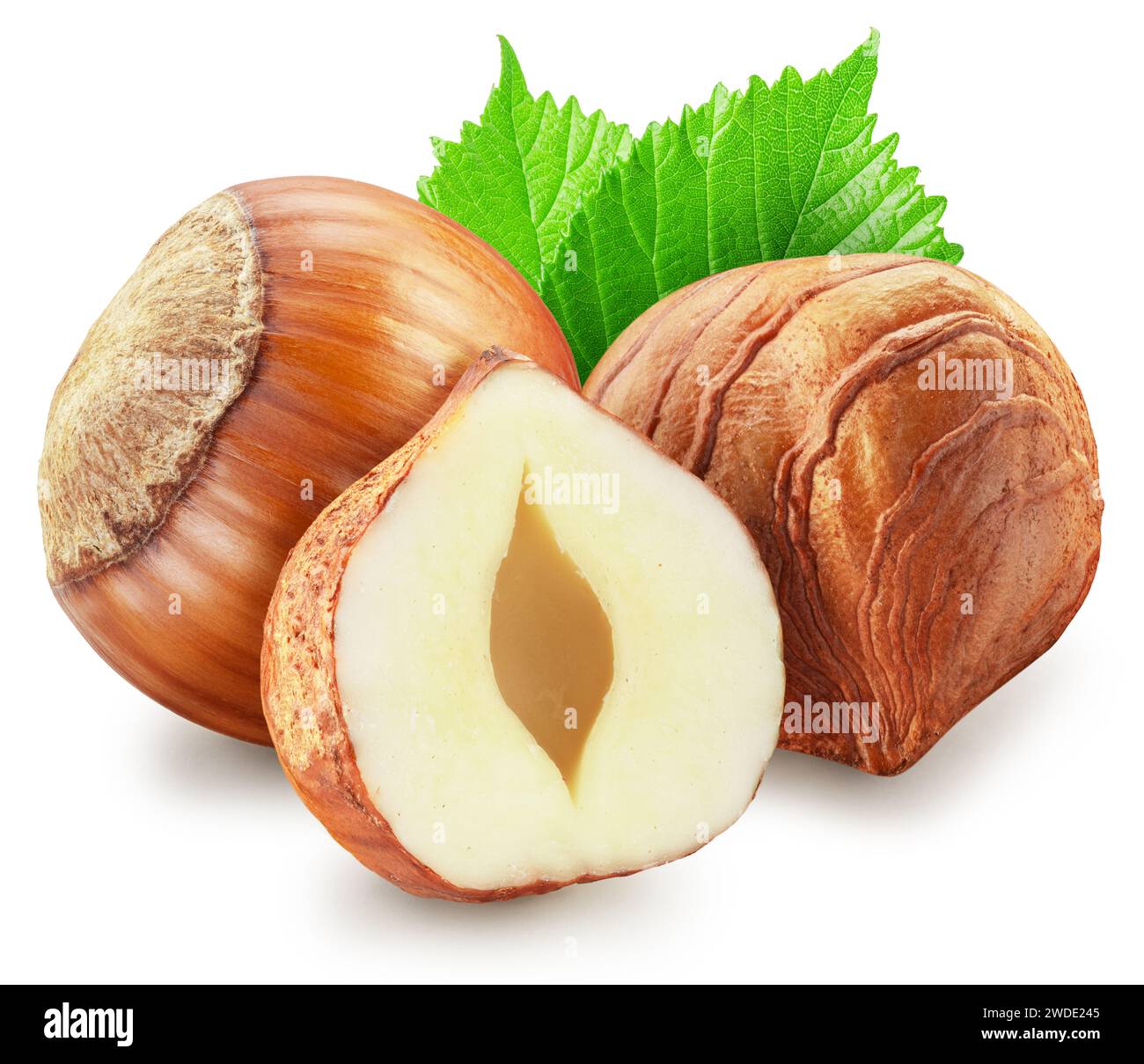Hazelnuts, hazelnut kernel and green leaves on white background ...