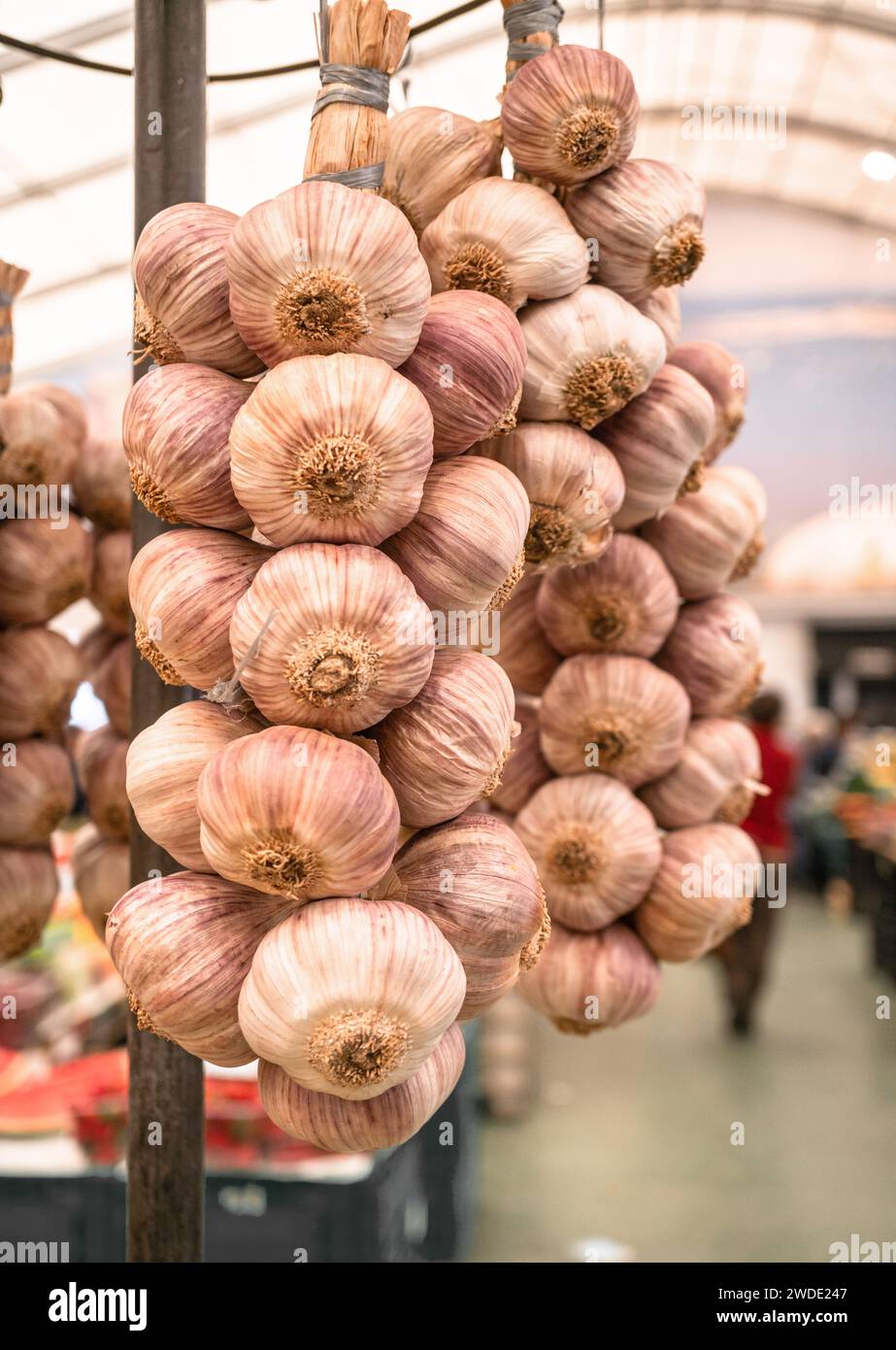 Strings of garlic bulbs hanging in the farm market. Food background ...