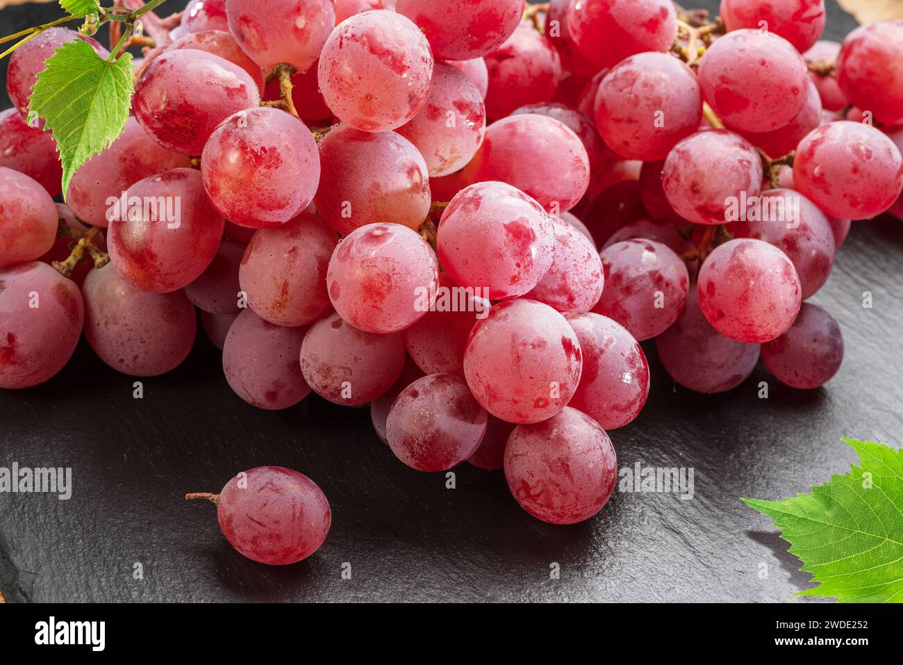 Cluster of red table grape with grape leaves on gray background Stock ...
