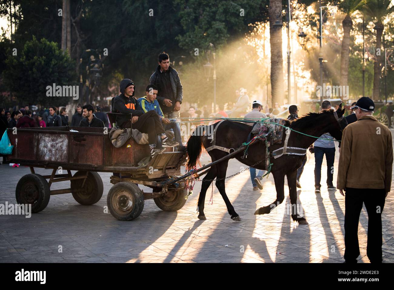 Donkey drawn carts hi-res stock photography and images - Alamy