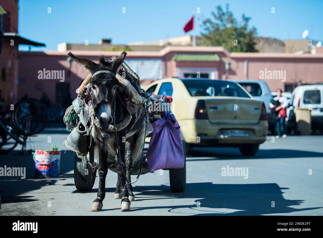 Marrakesh, Morocco - February 28, 2022: In the narrow streets of the ...