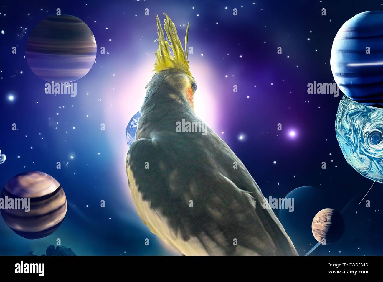 A parrot looks at our future planet. Concept for protection of animals ...