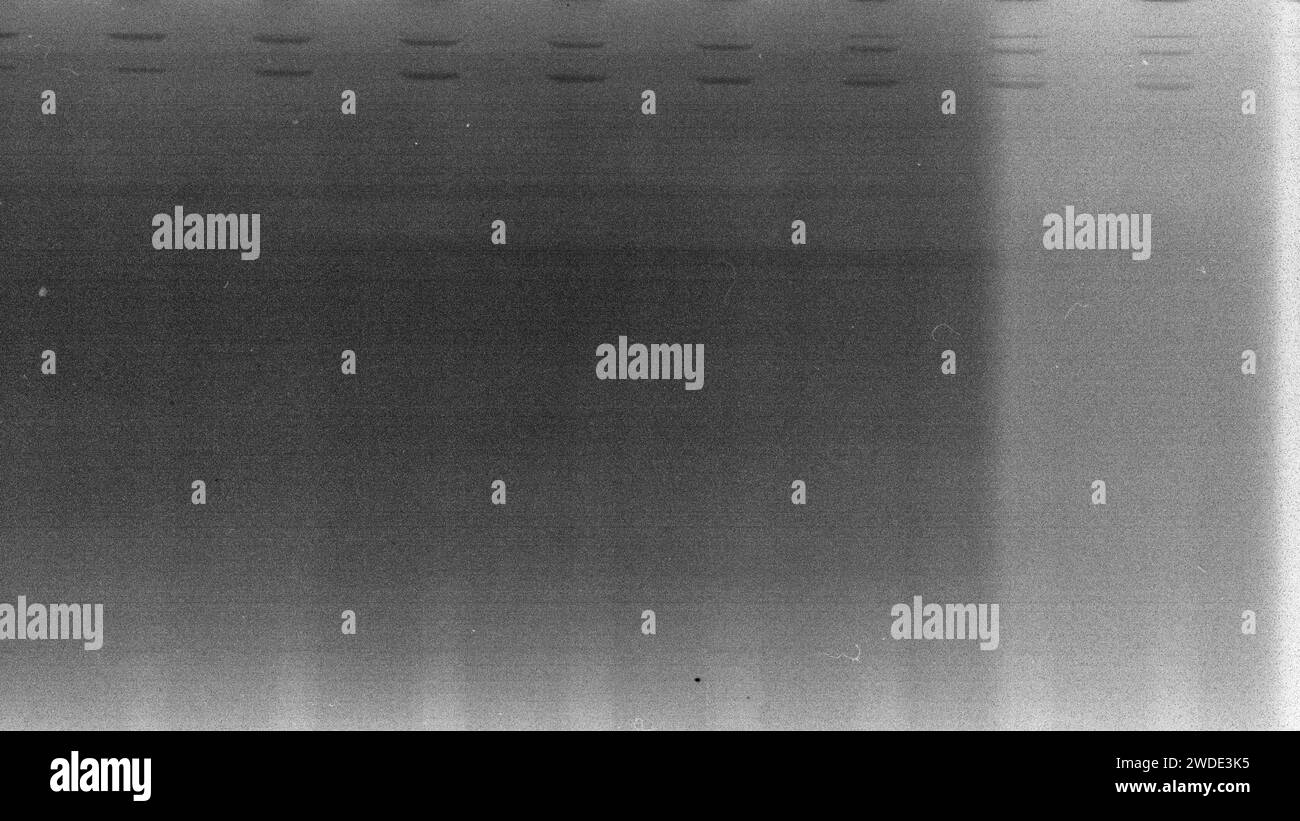 Blank grained film strip texture background with heavy grain and dust ...