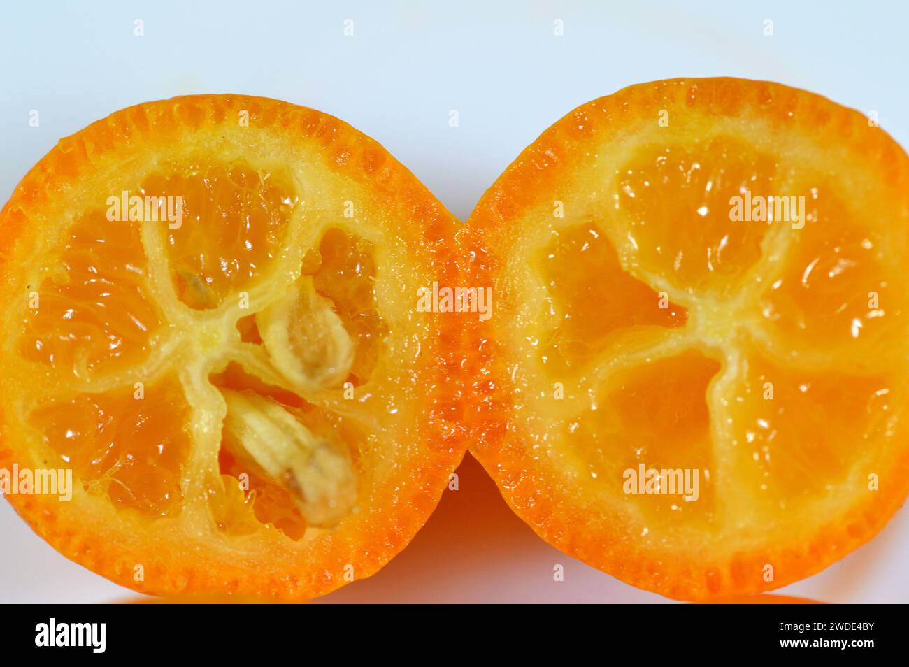 Chinese lime fruit trees hi-res stock photography and images - Alamy