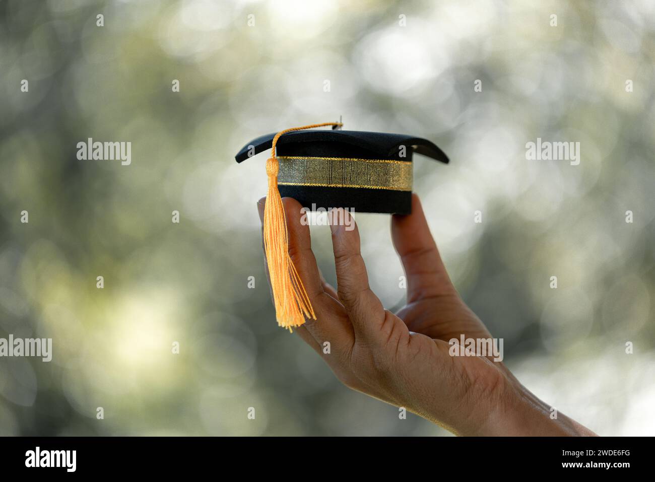 Hand holding graduation cap. concept for education and scholarship ...