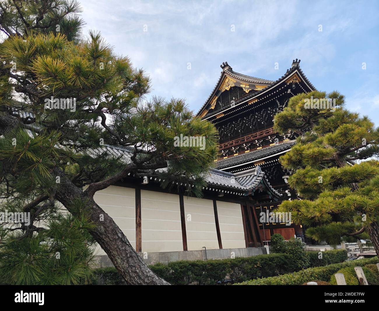 Trees in front of the Higashi Hongan-ji temple in Kyoto, Japan Stock ...
