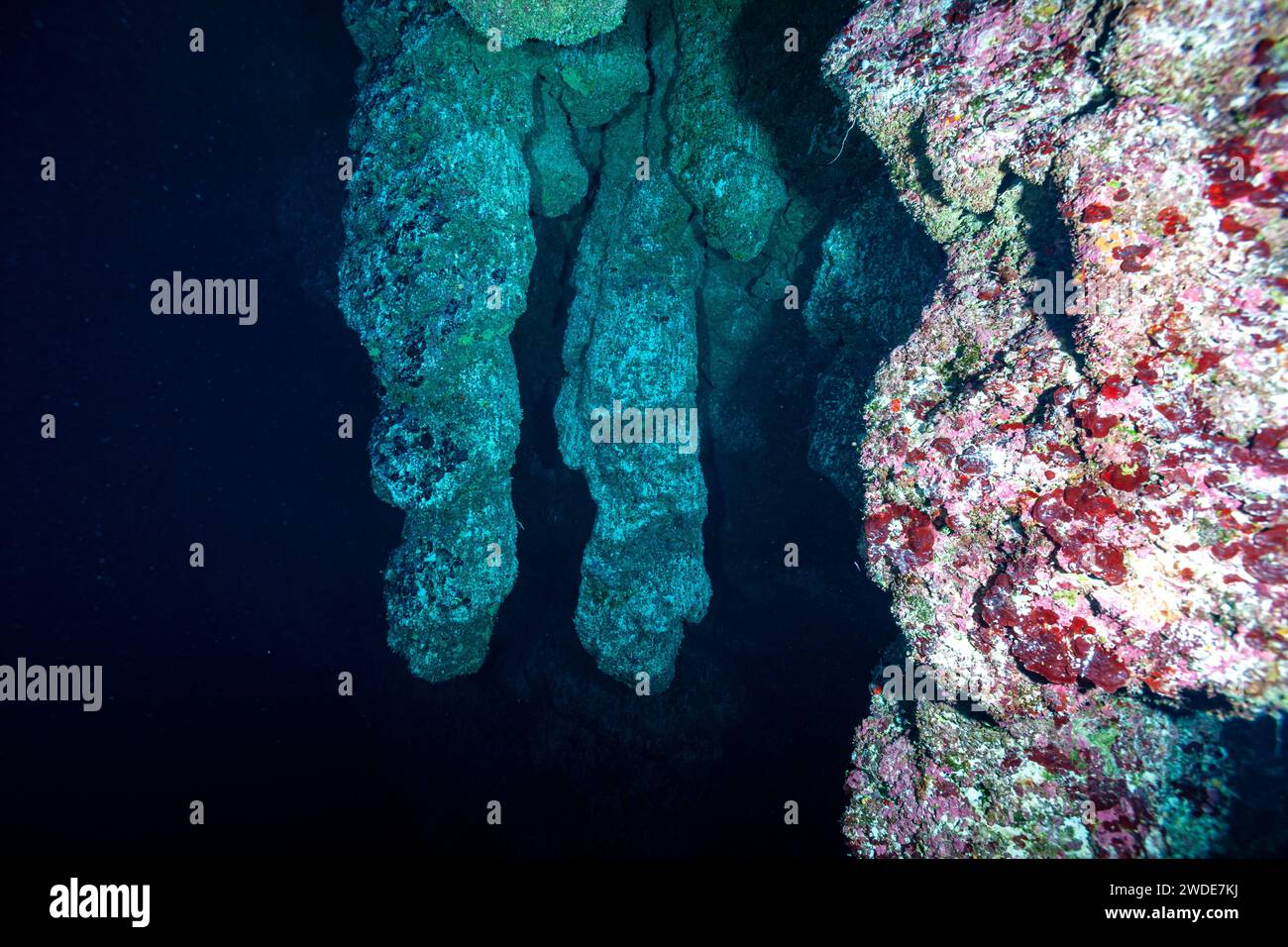 Belize, Stalactites inside the Blue Hole Stock Photo - Alamy