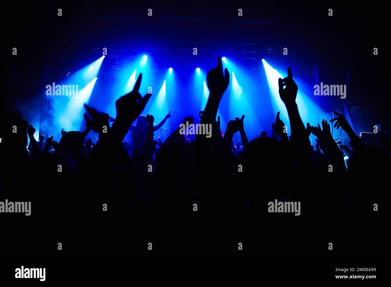 Club, music and audience with hands and lights for party, concert or ...
