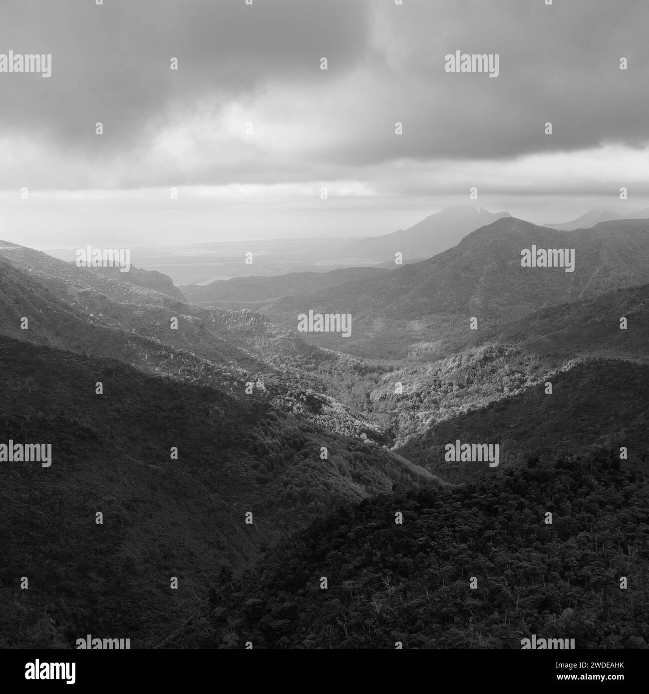 Mauritius jungle hi-res stock photography and images - Alamy