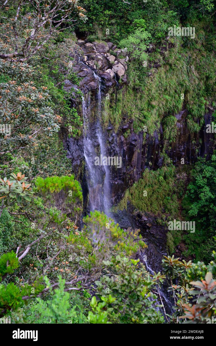 Alexandra Falls Waterfall in Black River Gorges National Park in ...