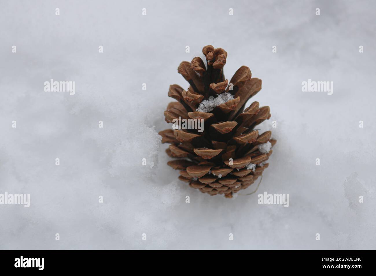 Weather cone hi-res stock photography and images - Alamy