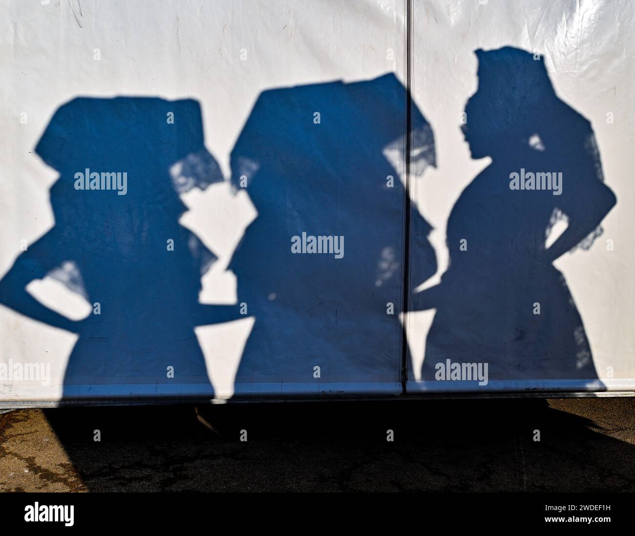 Burg, Germany. 20th Jan, 2024. Only the shadows of girls in Sorbian ...