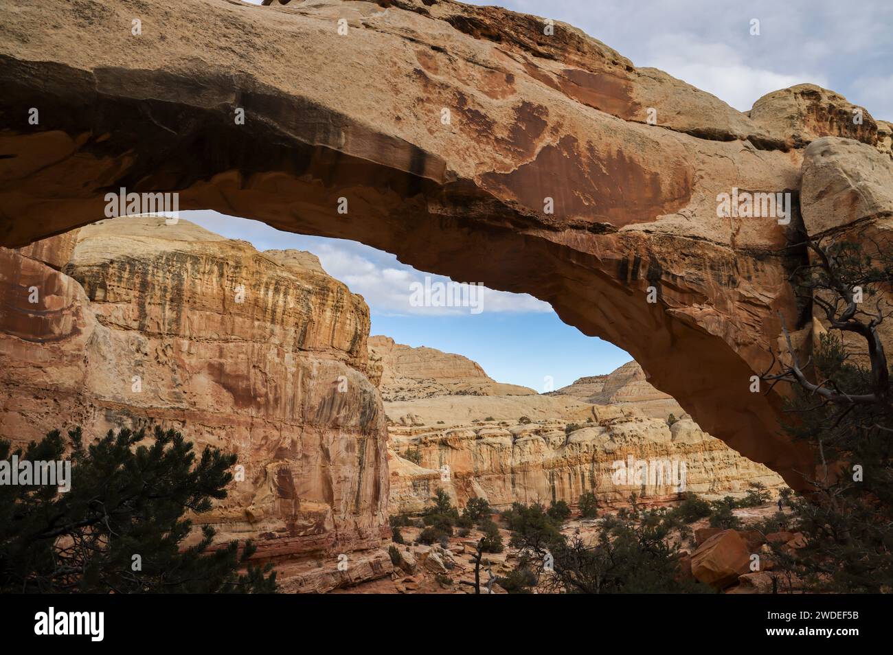 Hickman Bridge in Capitol Reef National Park Utah Stock Photo - Alamy