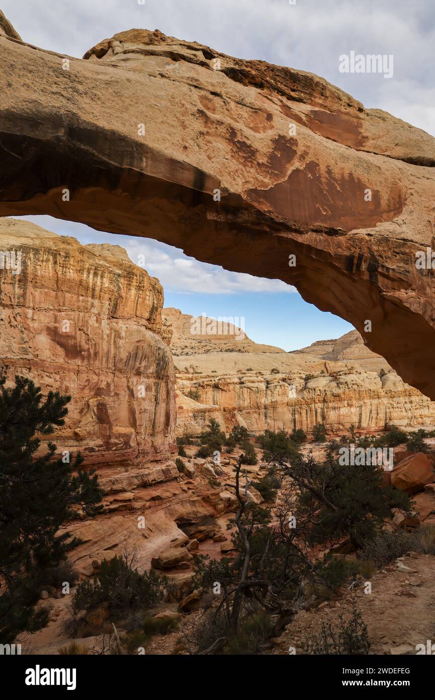 Hickman Bridge in Capitol Reef National Park Utah Stock Photo - Alamy