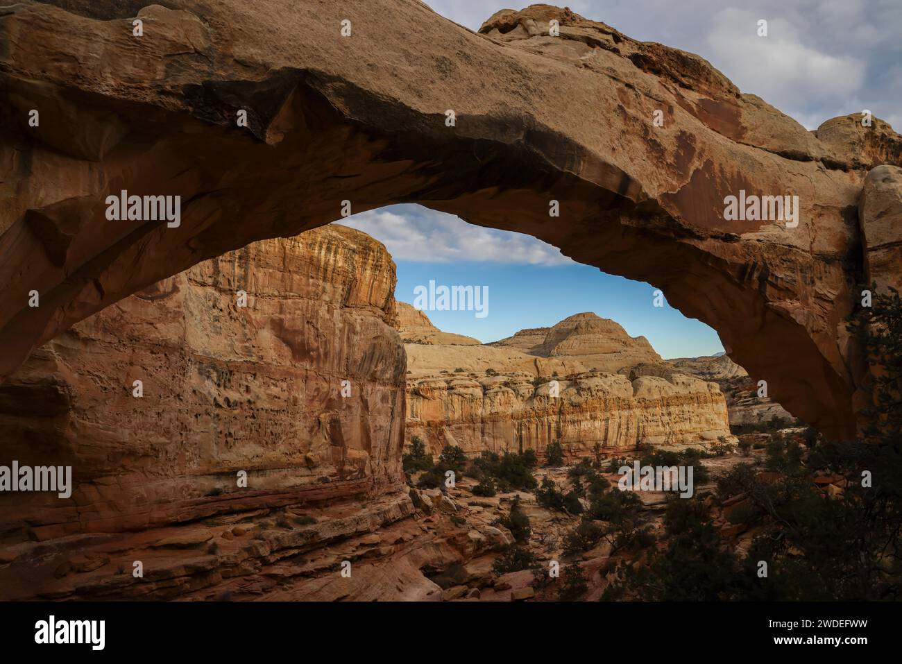 Hickman Bridge in Capitol Reef National Park Utah Stock Photo - Alamy