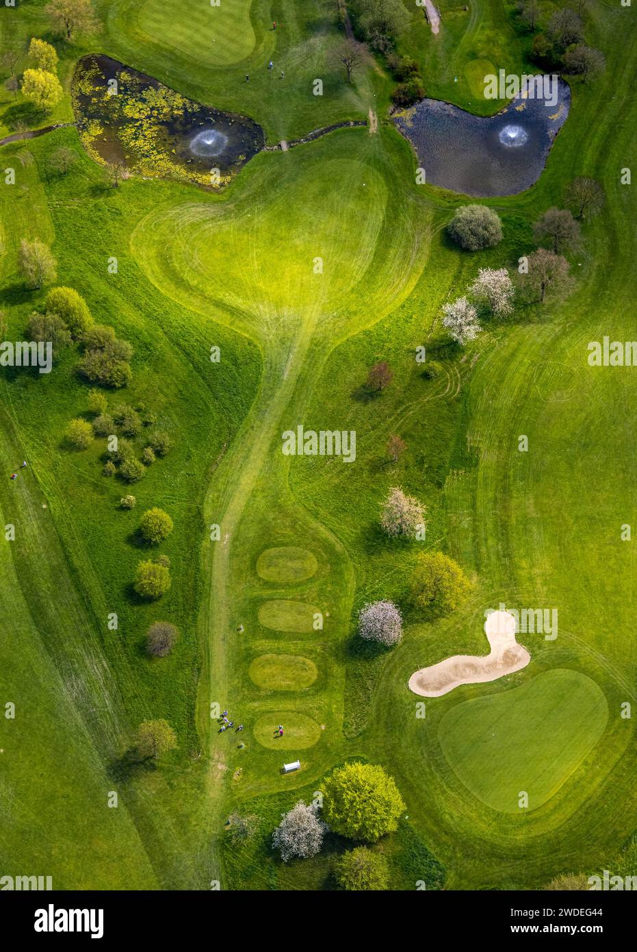 Aerial view, Golf course, Golfclub Velbert Gut Kuhlendahl, Kuhlendahl ...