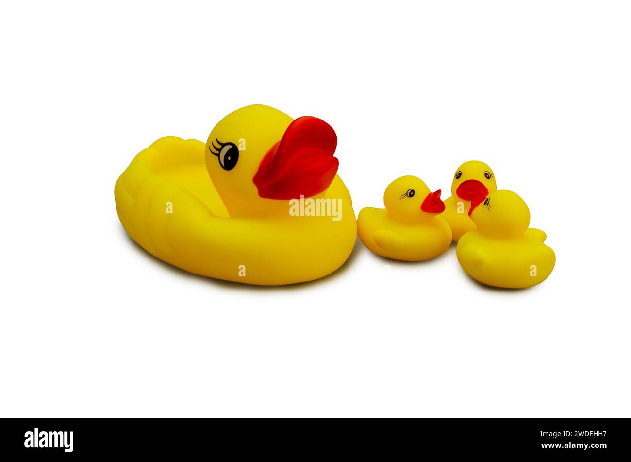 Mother rubber duck and ducklings on isolated background Stock Photo - Alamy