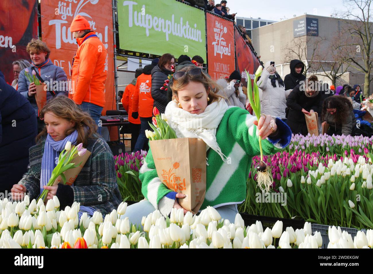 Thousands of people attend National Tulip Day at the Museum Square near ...