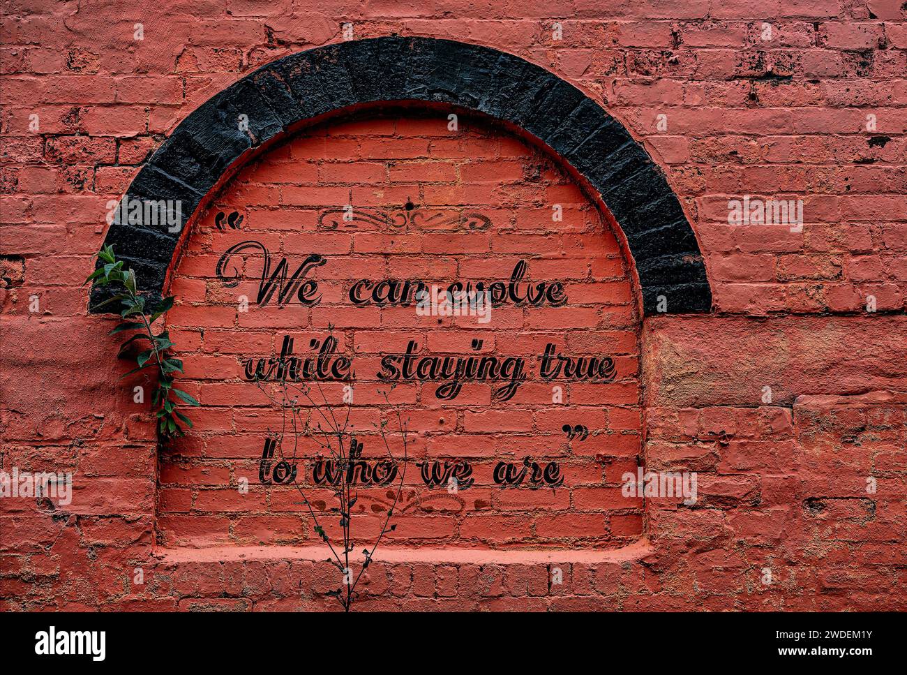 'We can evolve while staying true to who we are" - quote written on ...