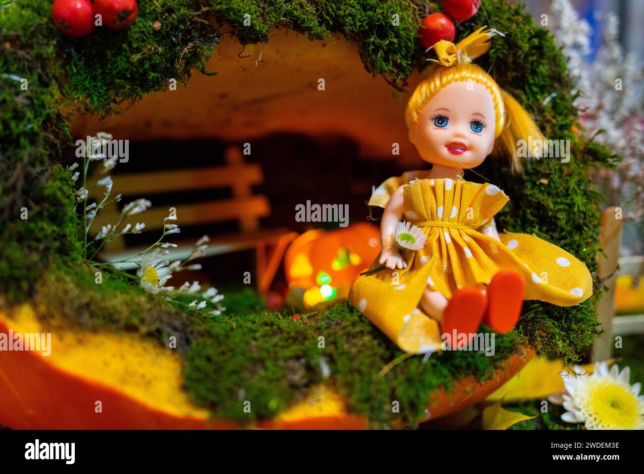 A small doll in a fairy house made of squash Stock Photo - Alamy