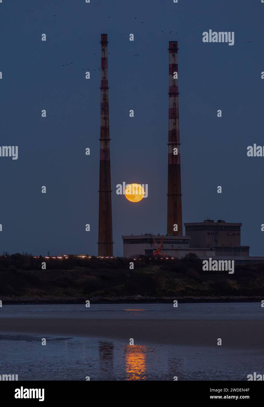 The full Cold Moon rising between the Poolbeg Chimneys from Sandymount ...