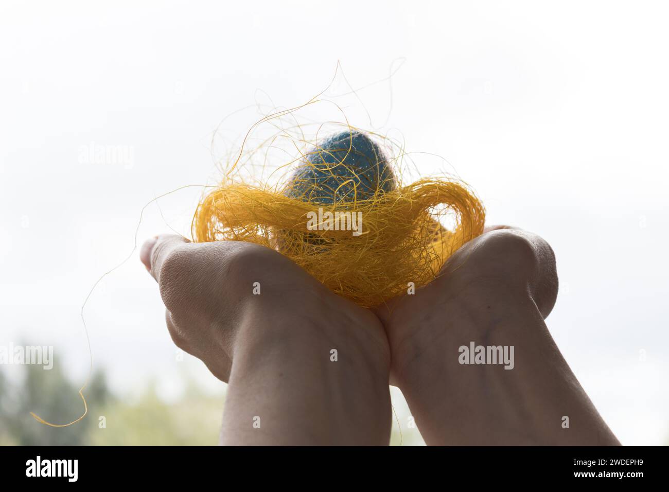 Nest with egg on hands. Nest-shaped hands to snuggle egg, protection ...