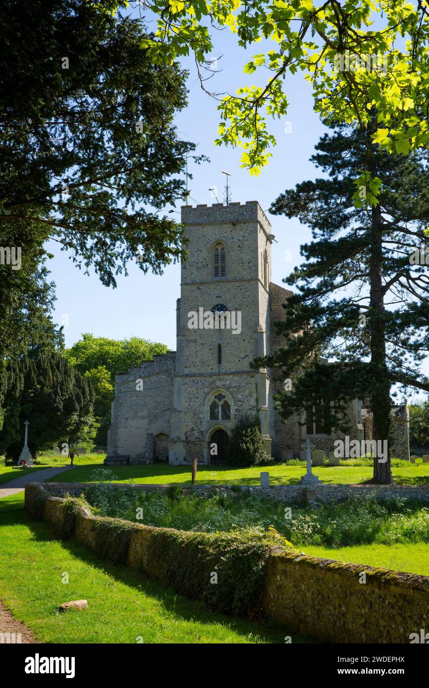 St Peter's Church with its 14th Century tower, Moulton, Suffolk Stock ...