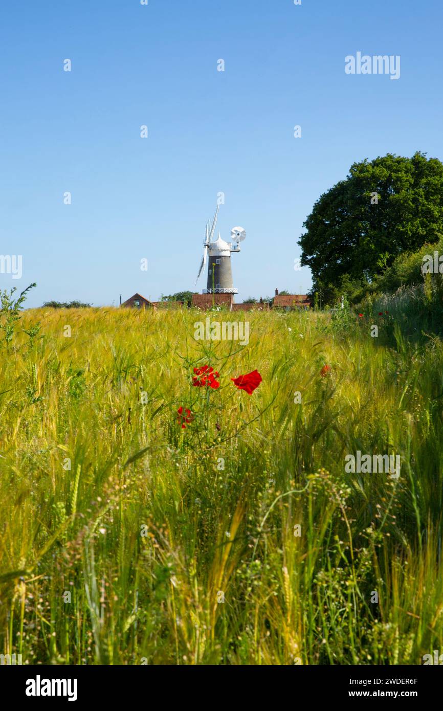 A view of the windmill at Great Bircham, Norfolk Stock Photo - Alamy