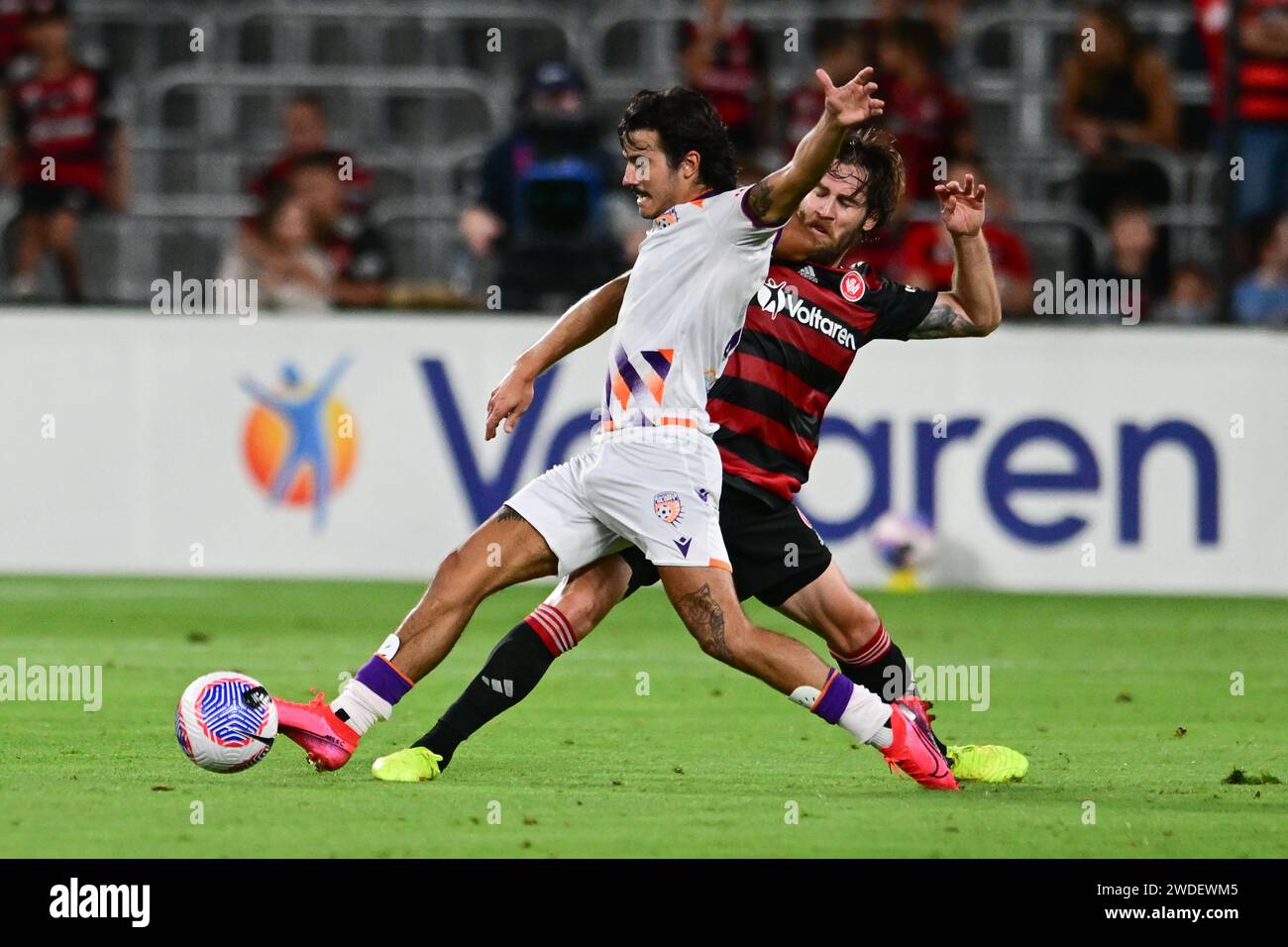 Parramatta, Australia. 20th Jan, 2024. Stefan Colakovski (L) of Perth ...