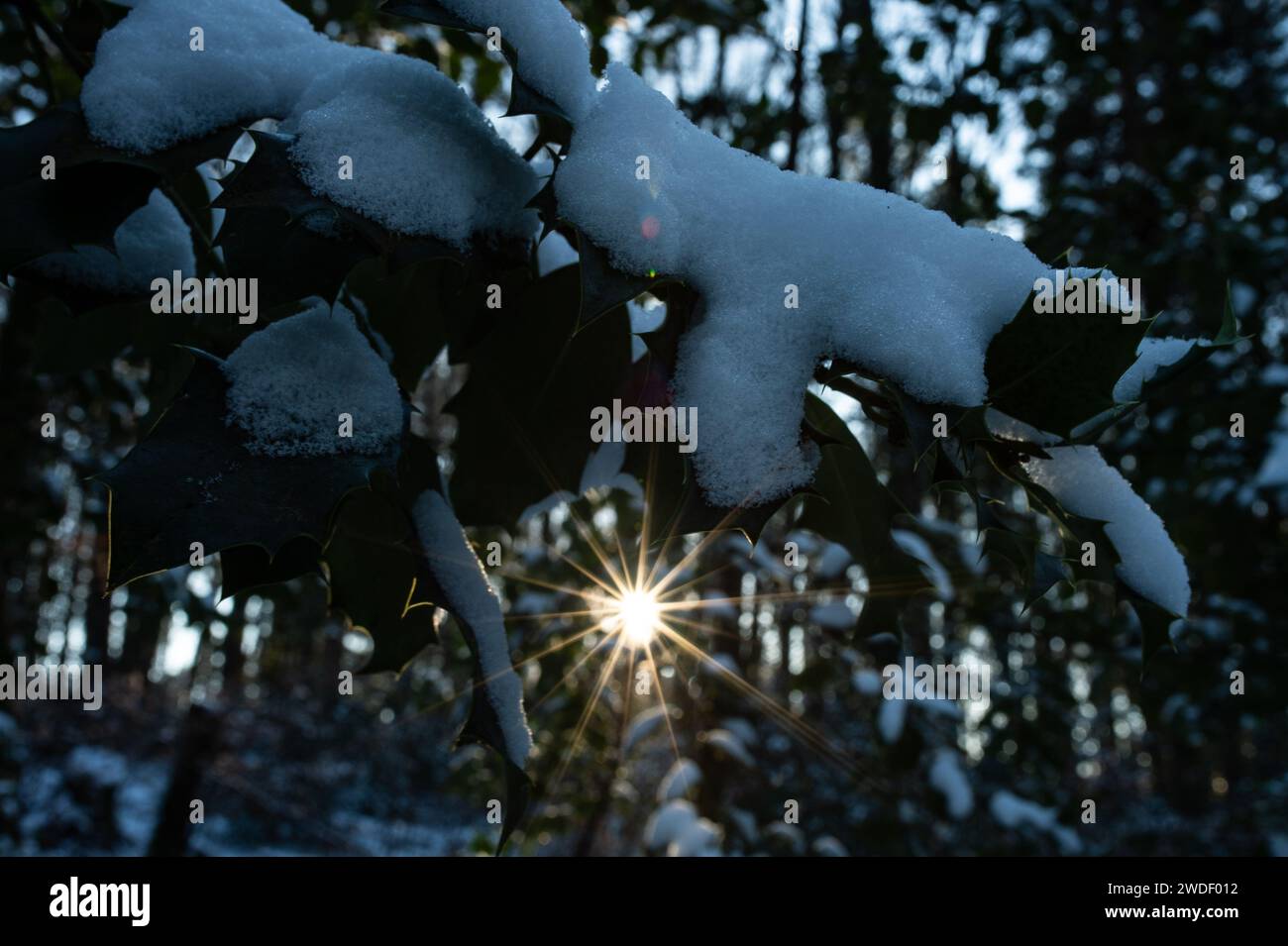 Ice cold freezing winter stock hi-res stock photography and images - Alamy
