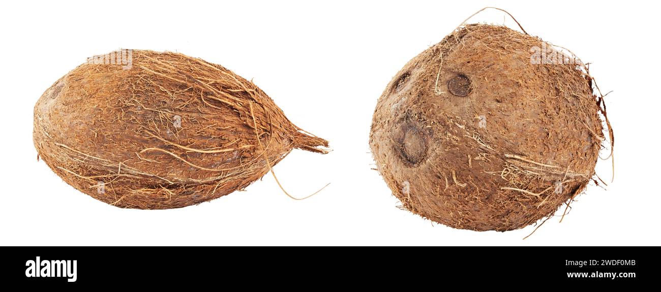 Coconut collection isolated on white background. Full depth of field ...