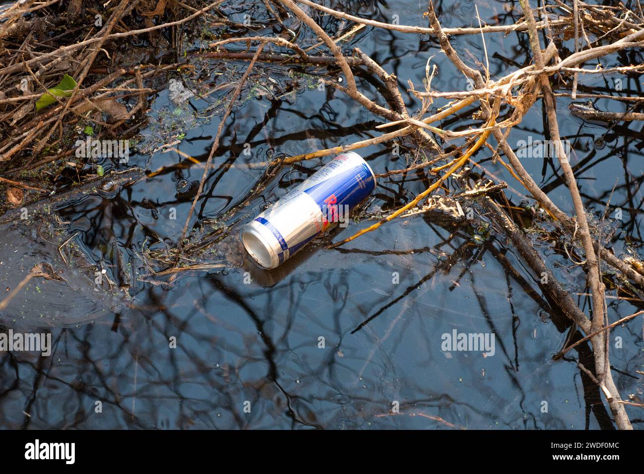 Litter on Countryside Pathway, crumpled cans in river Stock Photo - Alamy