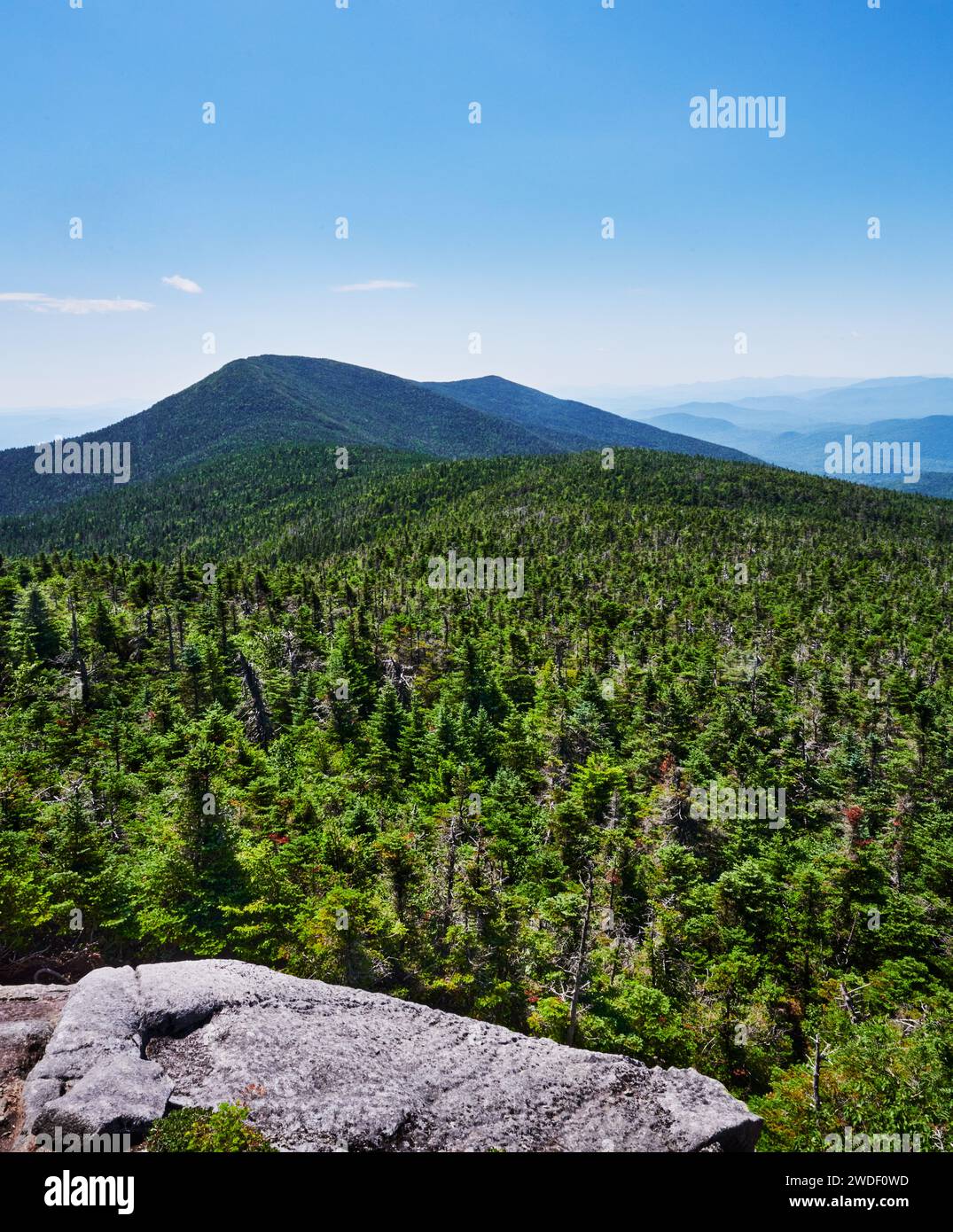 Adirondack state park summer hi-res stock photography and images - Alamy