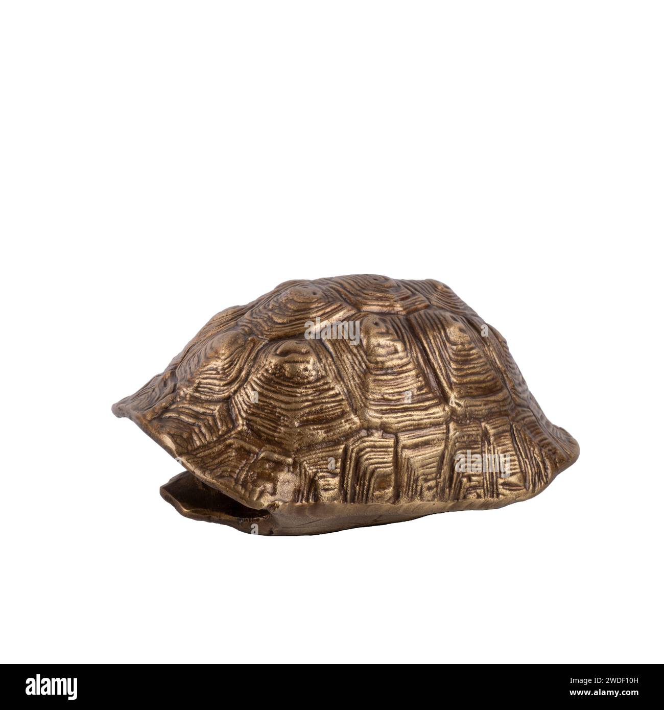 Metal turtle hi-res stock photography and images - Alamy